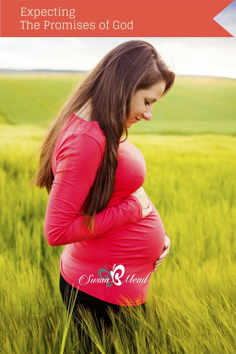 Expecting • SusanBMead