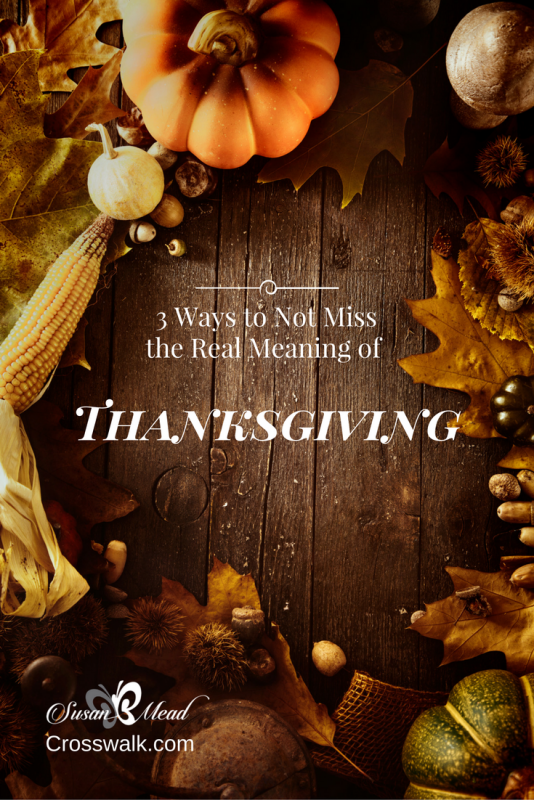 3 Ways to Not Miss Giving Thanks this Thanksgiving • SusanBMead