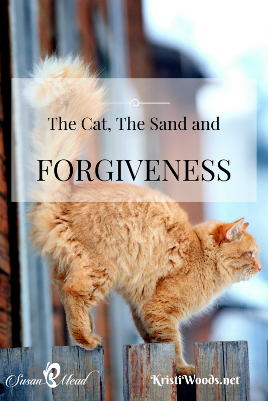 The Cat, the Sand, and Forgiveness • SusanBMead