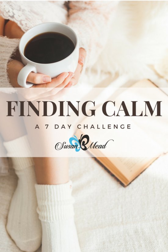 Finding Calm in the Chaos - A 7 Day Challenge • SusanBMead