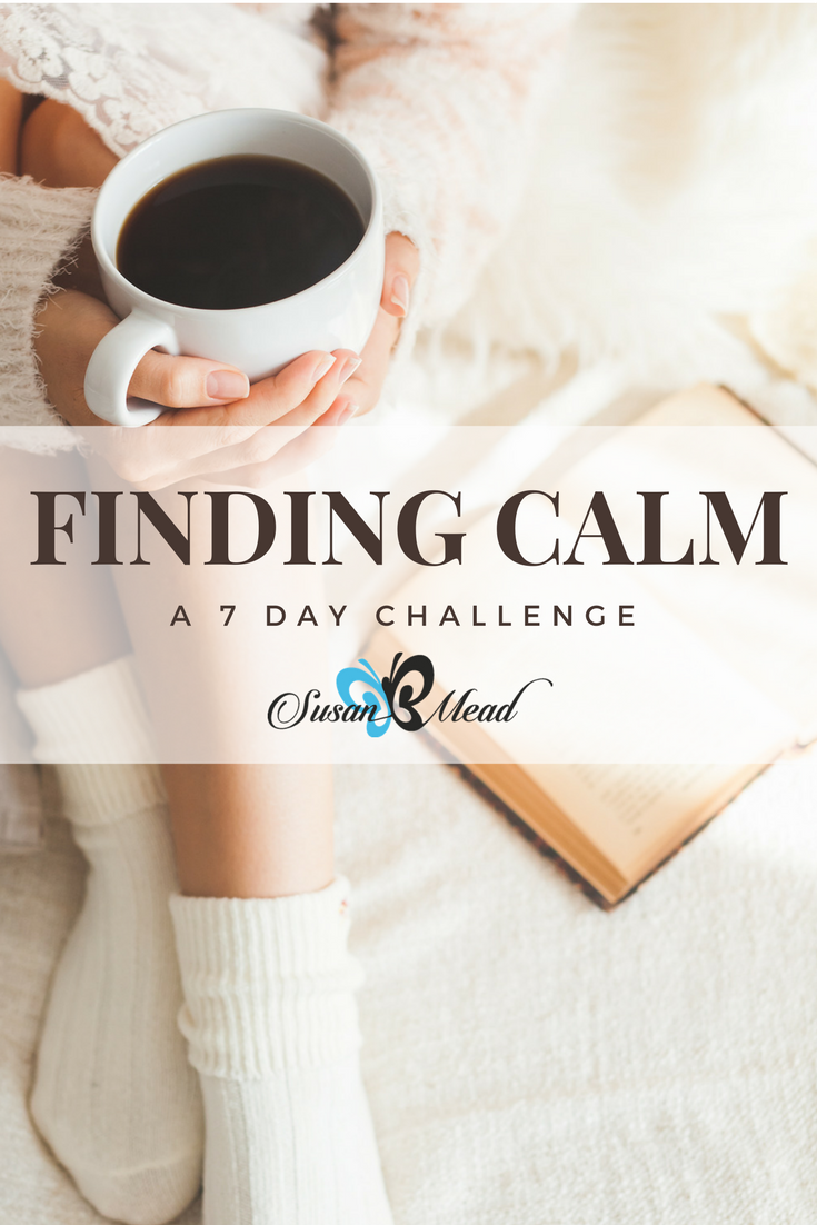 Finding Calm in the Chaos - A 7 Day Challenge • SusanBMead