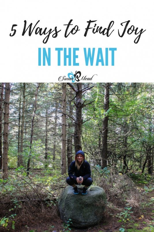 5 Ways to Find Joy in the Wait • SusanBMead