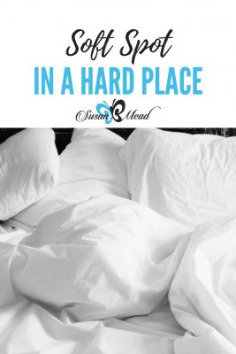 Are You Seeking a Soft Spot in a Hard Place? • SusanBMead