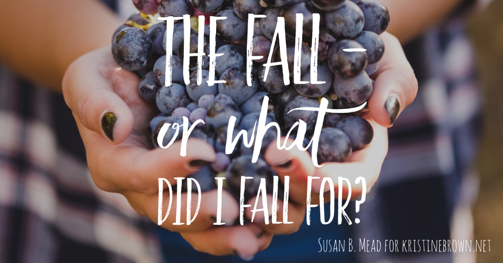 The Fall - Or What Did I Fall For? • SusanBMead